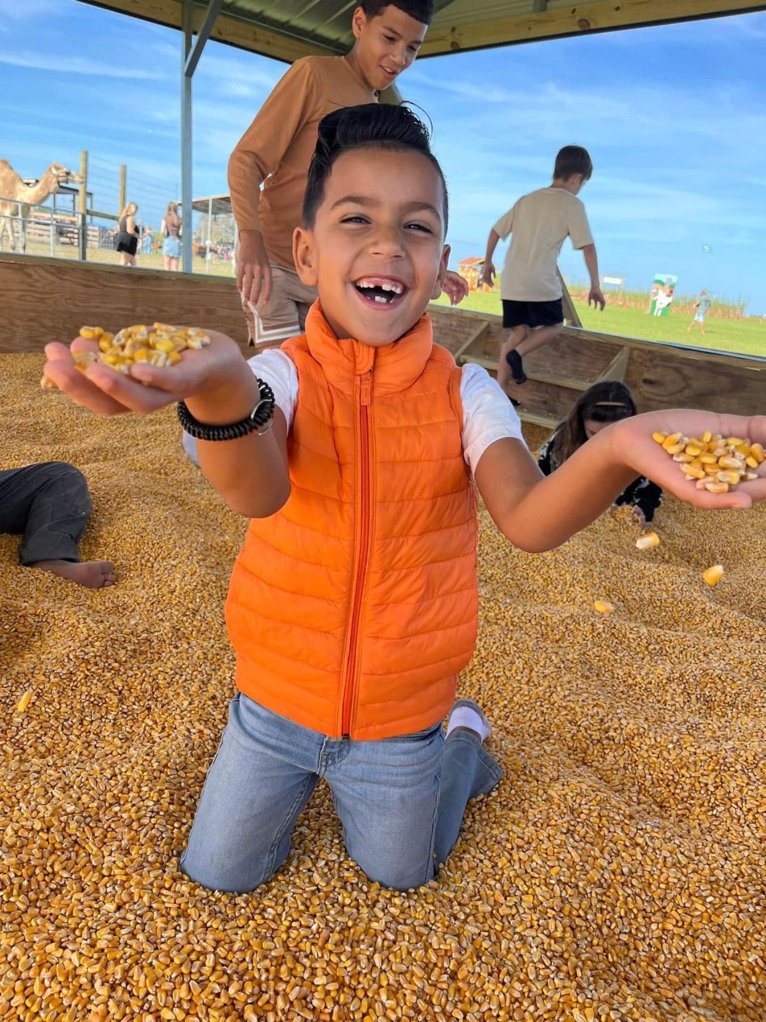 Dade City Farms | Explore U-Pick Flowers, Farm Activities & Seasonal ...